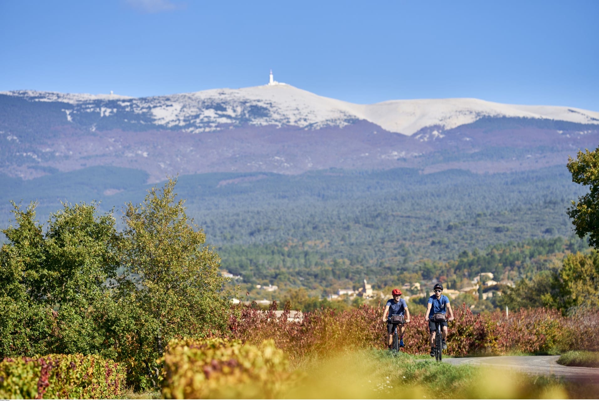 Explore Mont Ventoux, Provence’s iconic peak